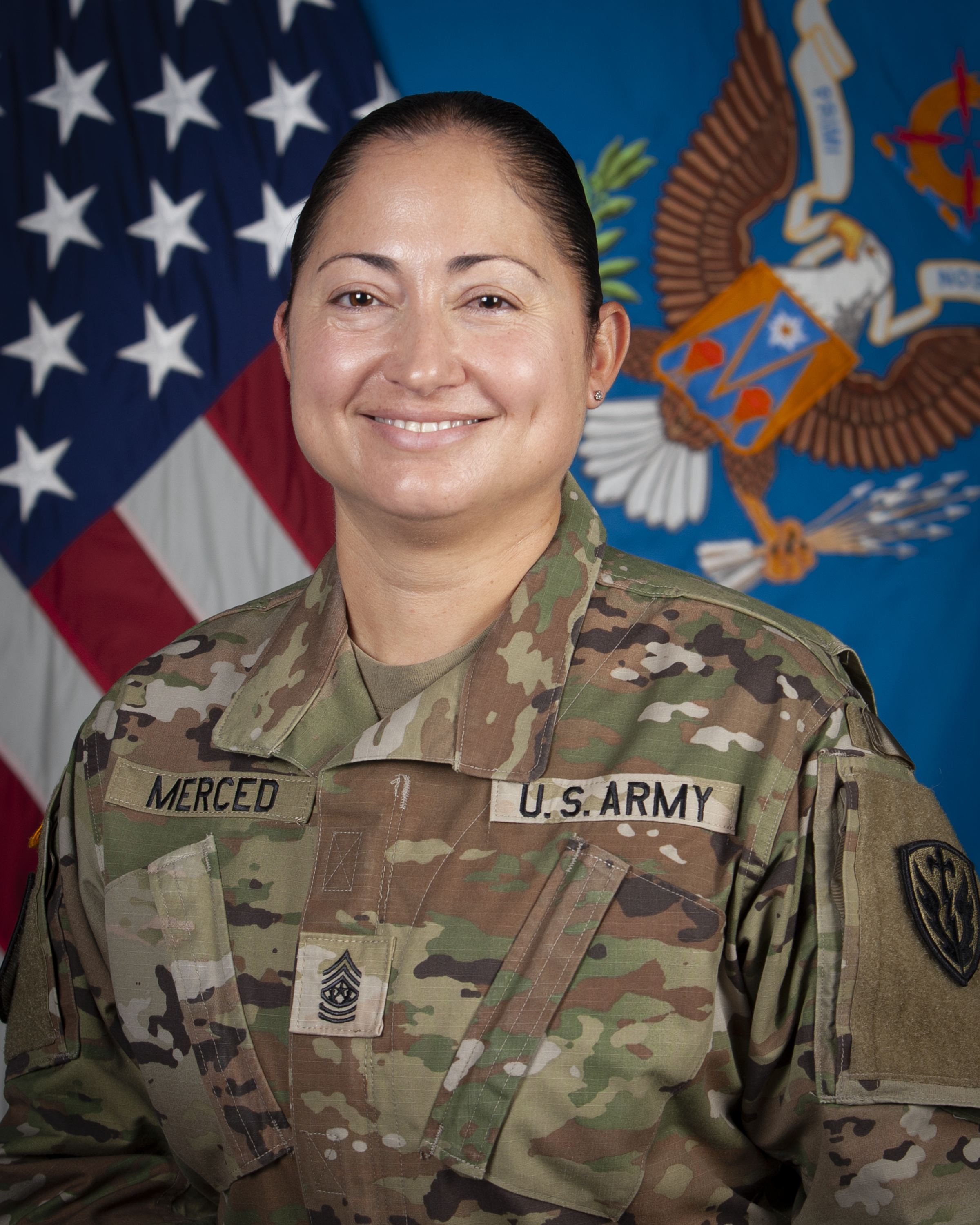 303d Military Intelligence Battalion :: 504th EMIB