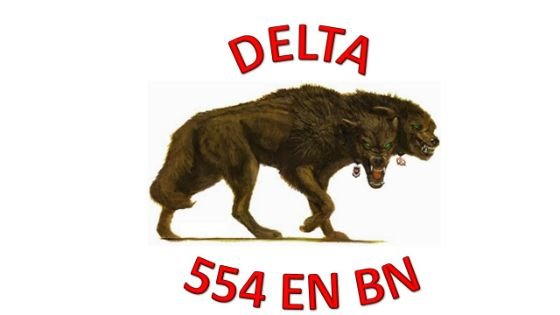 Delta Company 554th Engineer Battalion :: FORT LEONARD WOOD